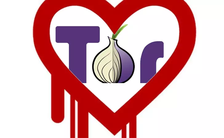 Diversos nodes de sortida Tor vulnerables a la vulnerabilitat de Heartbleed