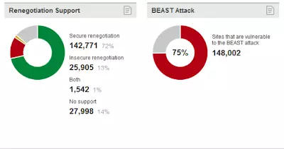 90% SSL-сайтаў уразлівыя да SSL-атакі BEAST 13188_2
