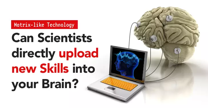 upload-skills-to-brain