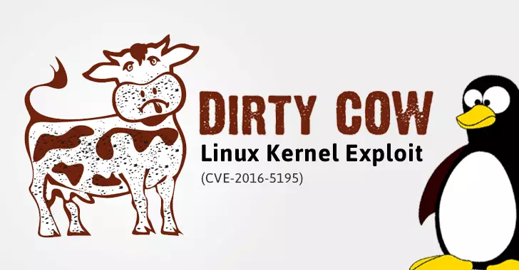 exploração do kernel do linux-vaca suja